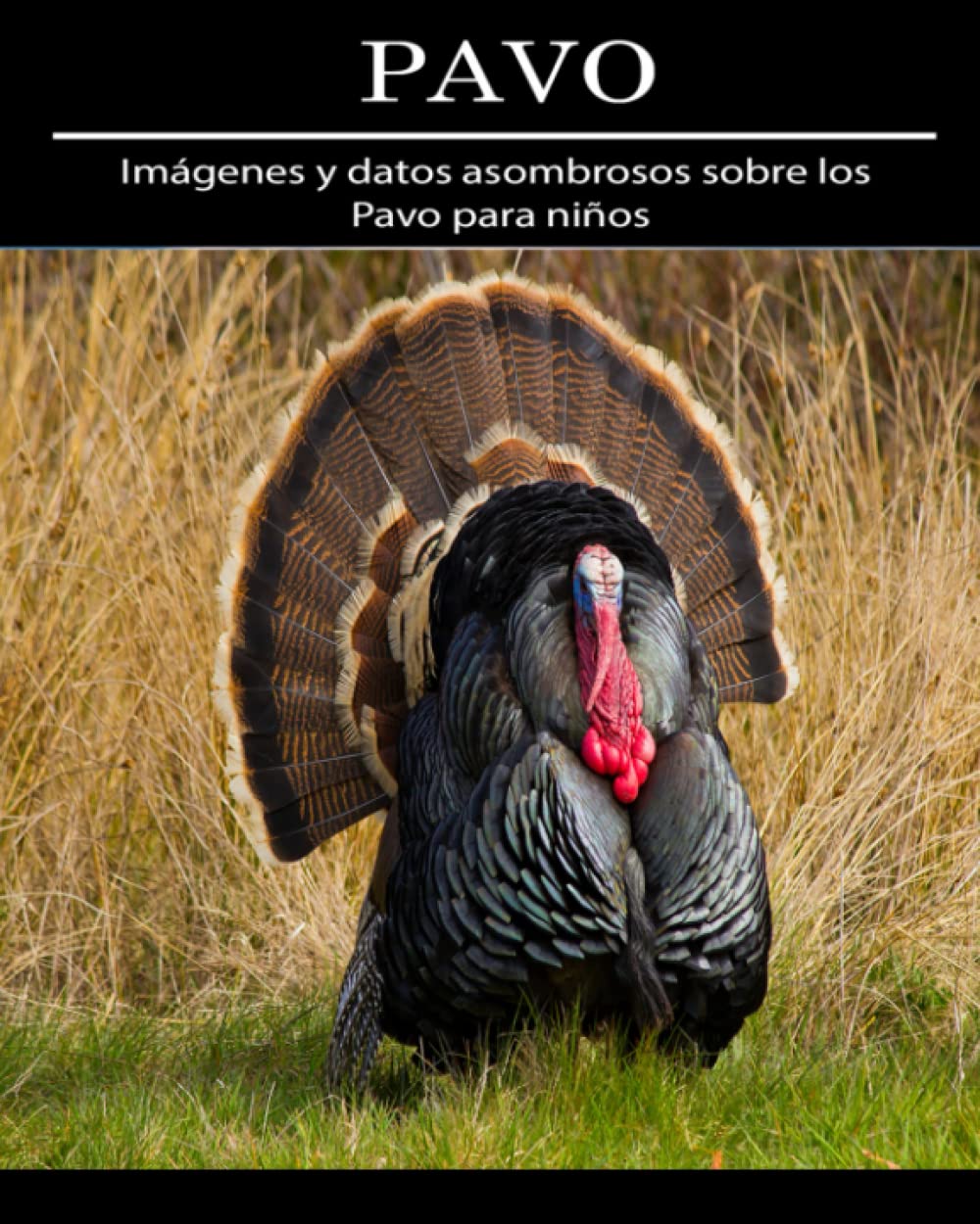 Buy Pavo: Imágenes y datos asombrosos sobre los Pavo para niños Online ...