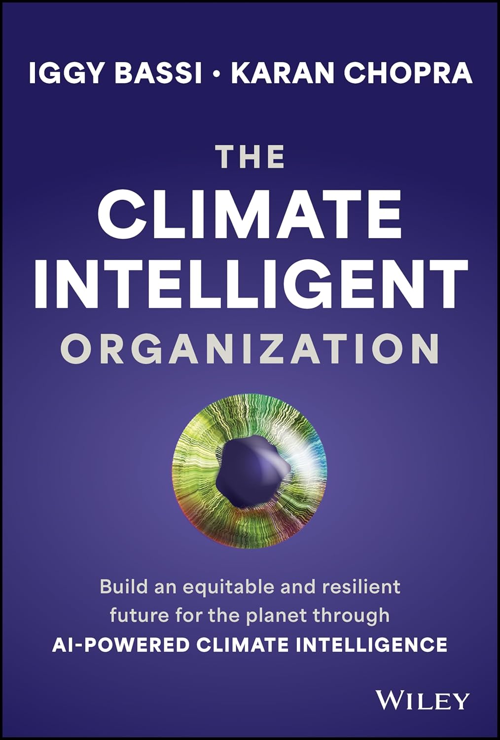 The Climate Intelligent Organization: Build a Prosperous and Resilient ...