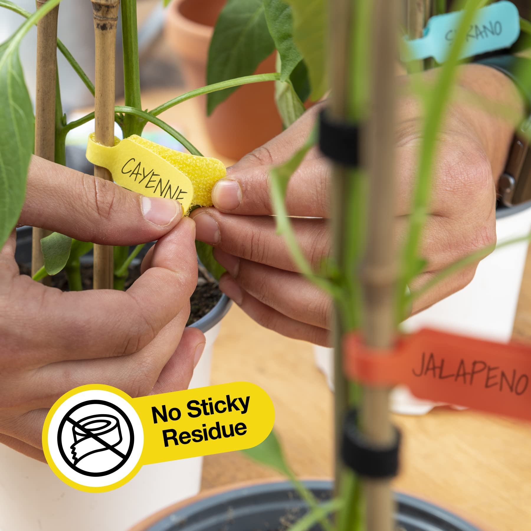 Plant Identification Labels Black Plant Labels Mr Middleton Garden