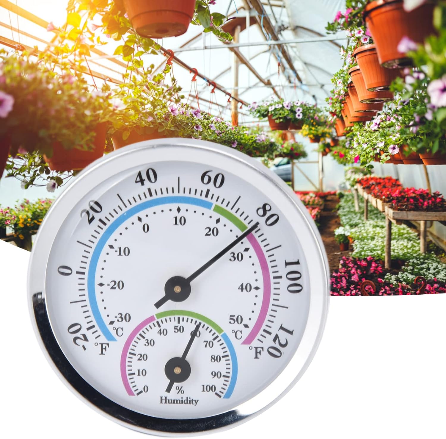 Amazon.com: 1 Wall Pointer Hygrometer,Thermometer Hygrometer, Mini ...