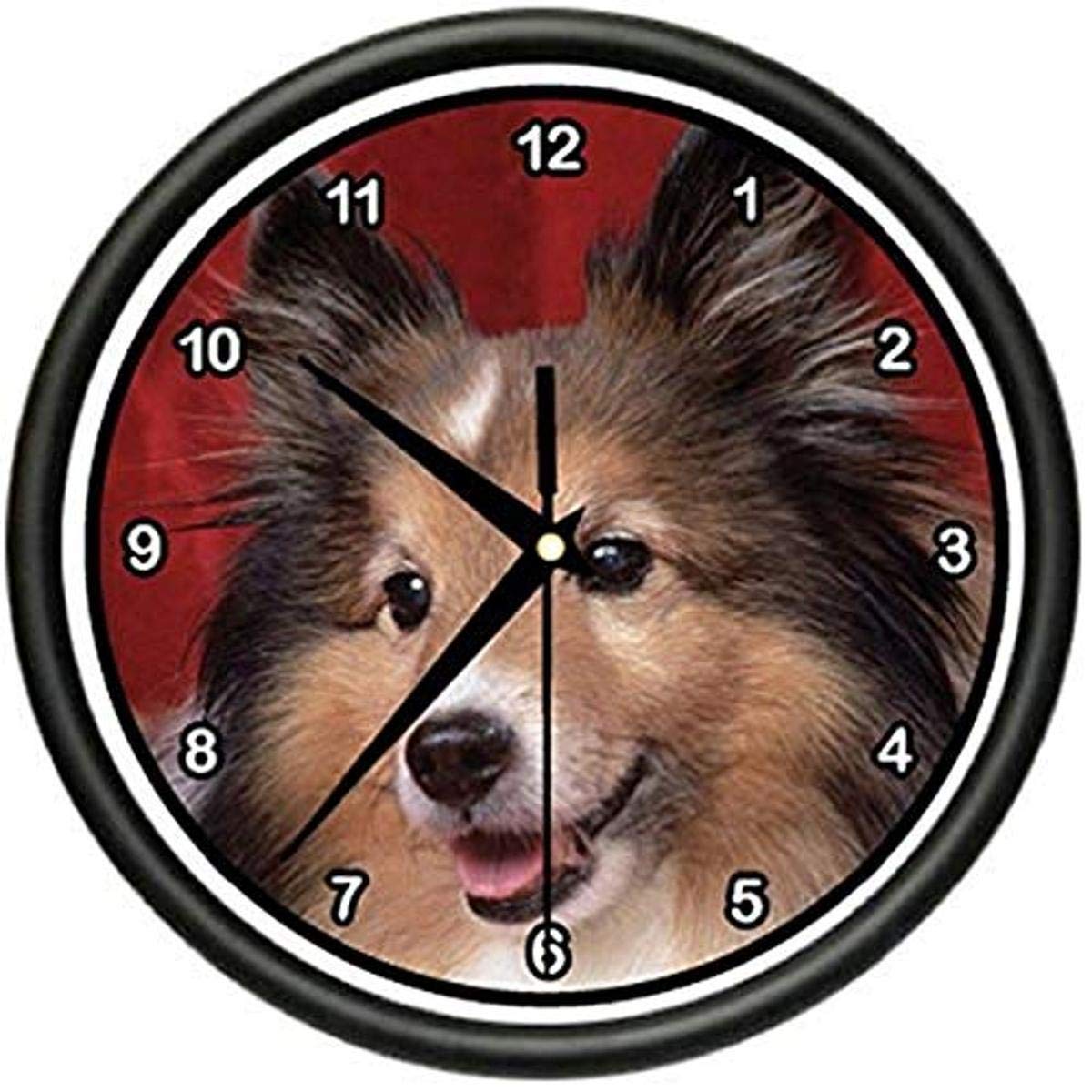 Amazon.com: SignMission Beagle Sheltie Wall Clock Dog pet Shetland ...
