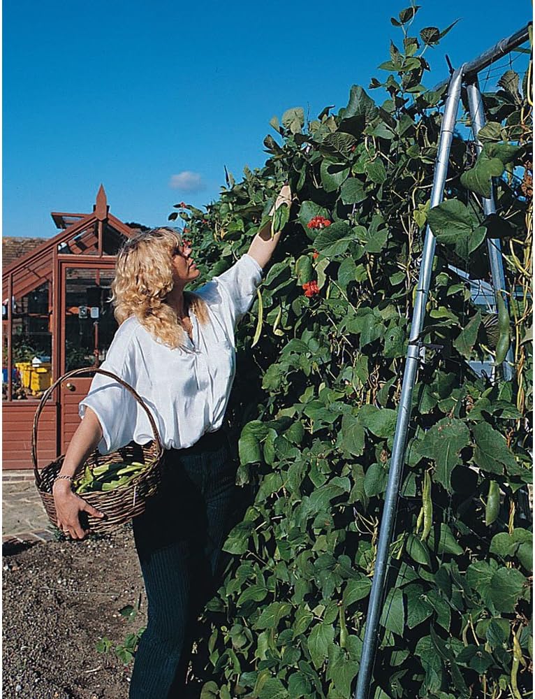Agriframes Runner Bean Frame Extension : Amazon.ca: Everything Else