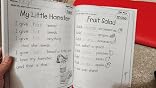 Amazon.com: Sight Word Poetry Pages: 100 Fill-in-the-Blank Practice ...