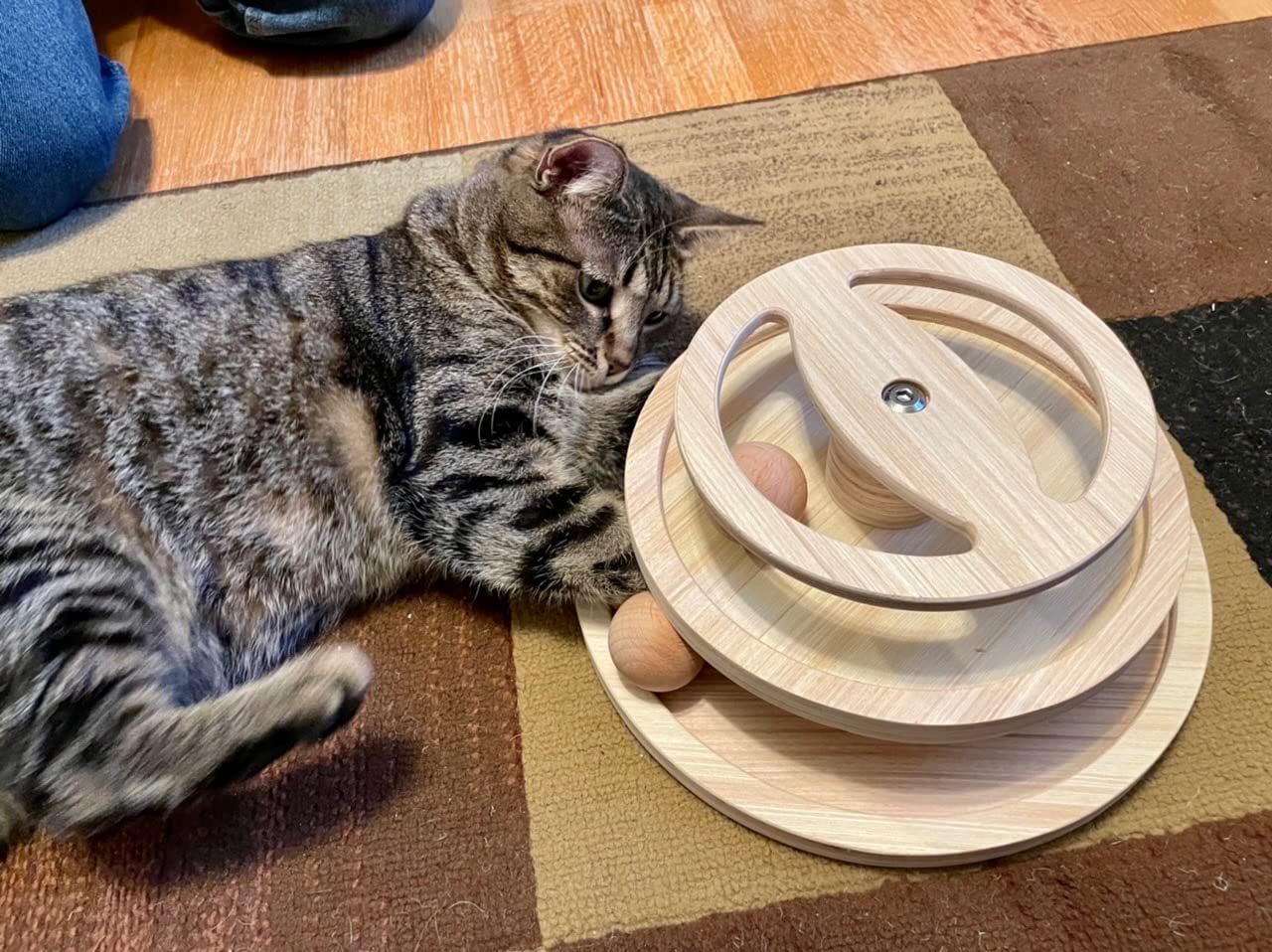 $6/mo - Finance Cat Roller Ball Toy by 7 Ruby Road - - 100% Natural ...