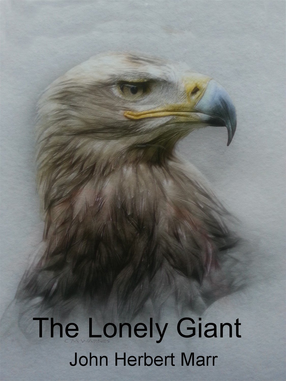 Amazon.com: The Lonely Giant eBook : Marr, John Herbert: Kindle Store