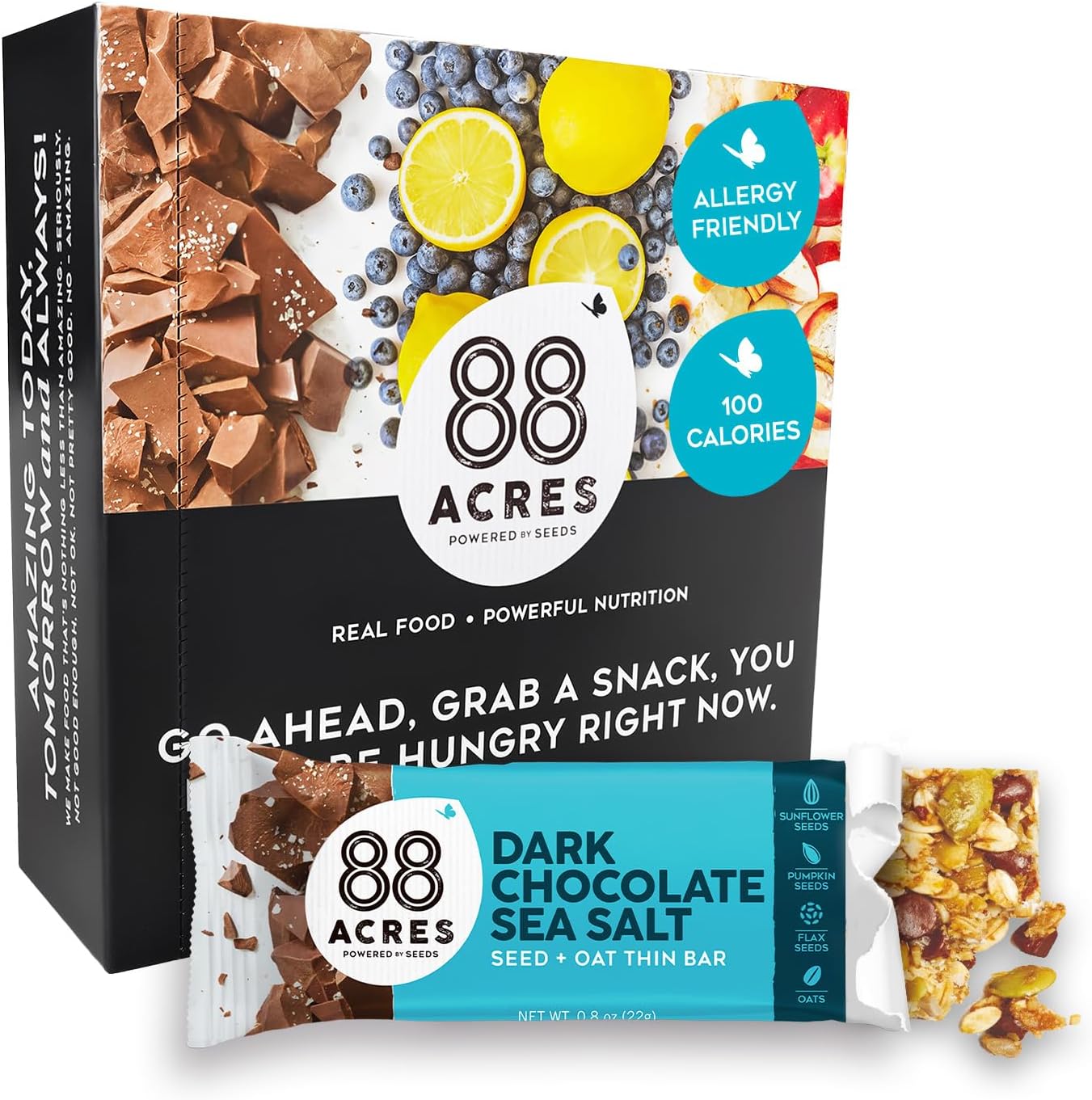 Amazon.com: 88 Acres, Dark Chocolate Sea Salt Seed Bars, 9 Count (Pack ...