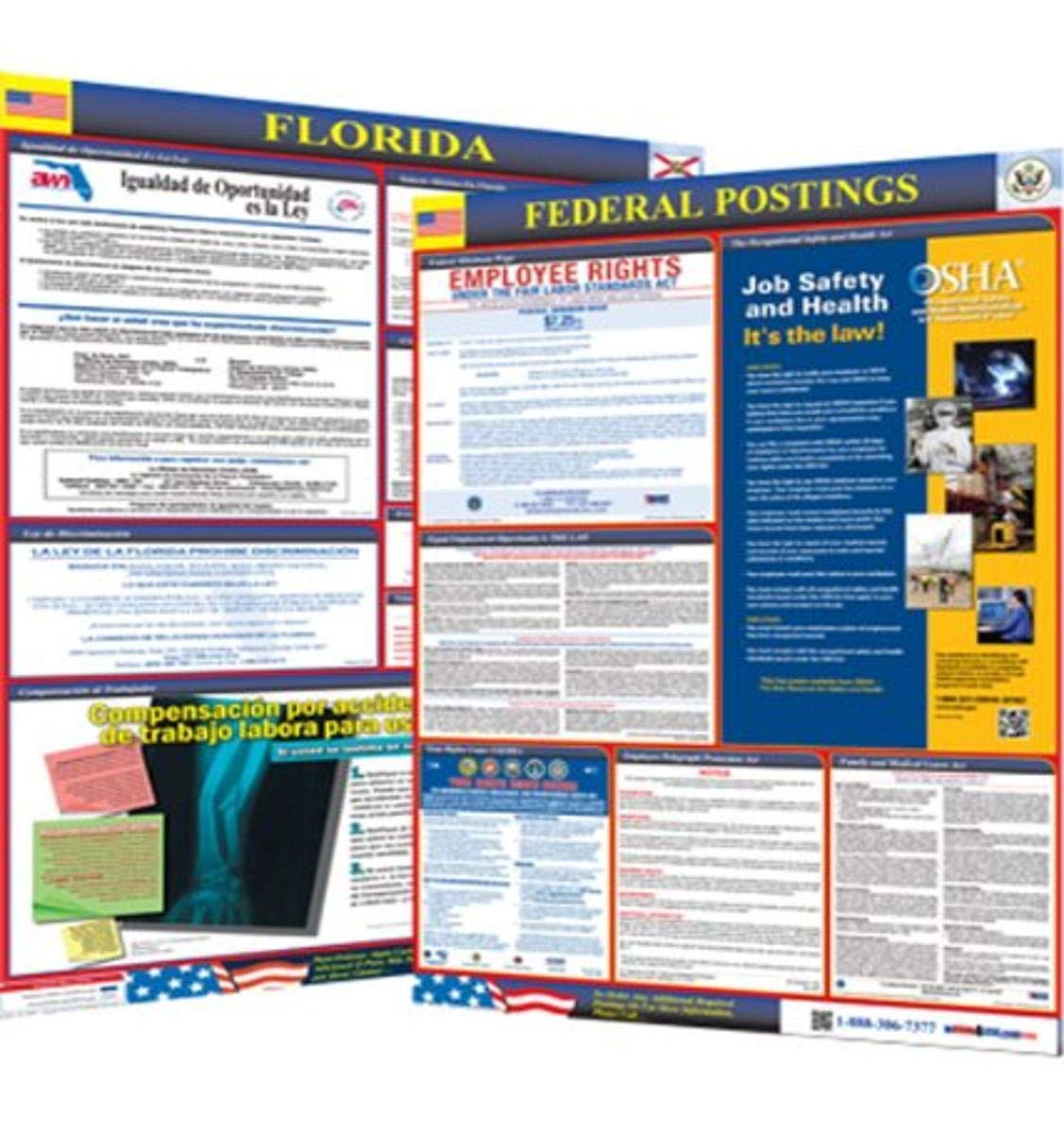 Osha4less Laminated Florida State and Federal Labor Law Poster (FL-CB ...