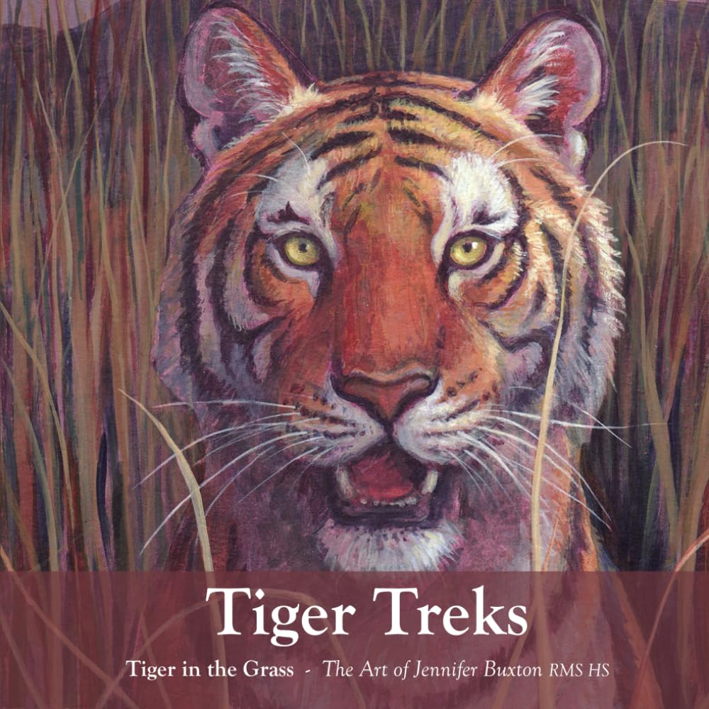 Tiger Treks - Tiger in the Grass: The Art of Jennifer Buxton RMS HS ...