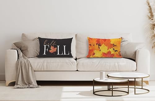 EIONEY Fall Hello - Juego de 2 fundas de almohada reversibles de hoja ...