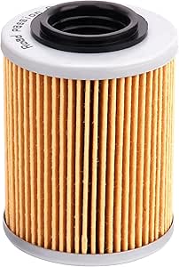 Amazon.com: Road Passion 420956123 420956120 Oil Filter Compatible with ...