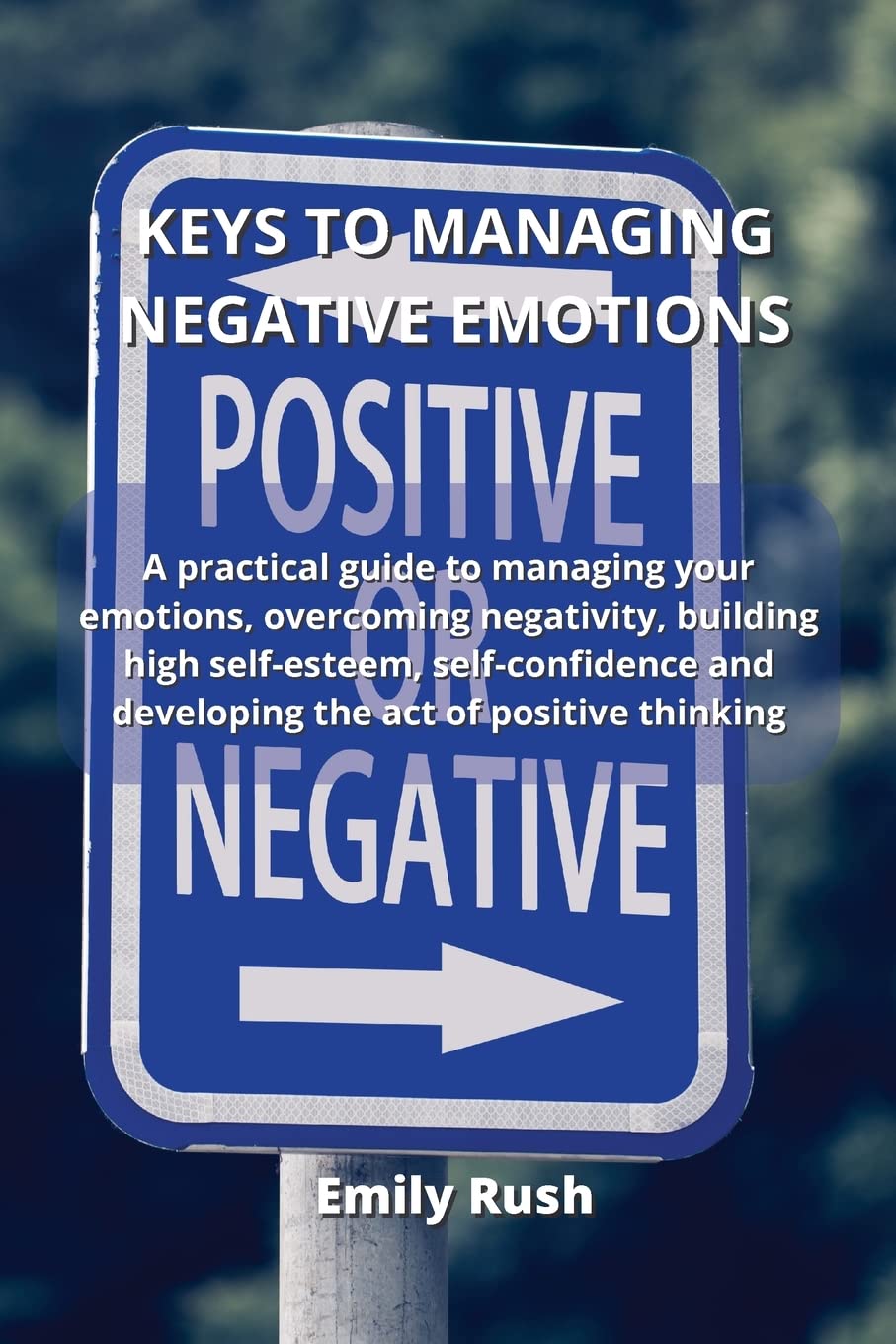 Buy Keys to Managing Negative Emotions: A practical guide to managing ...