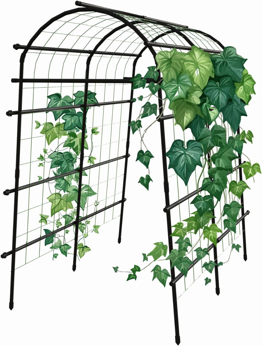 Amazon.com : Multi-Size Large Garden Support Arch Frame Climbing Plant ...