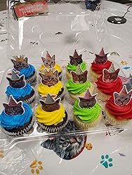 Amazon.com: 137PCS Cat Birthday Party Supplies Serves 20 Guests Kitten ...
