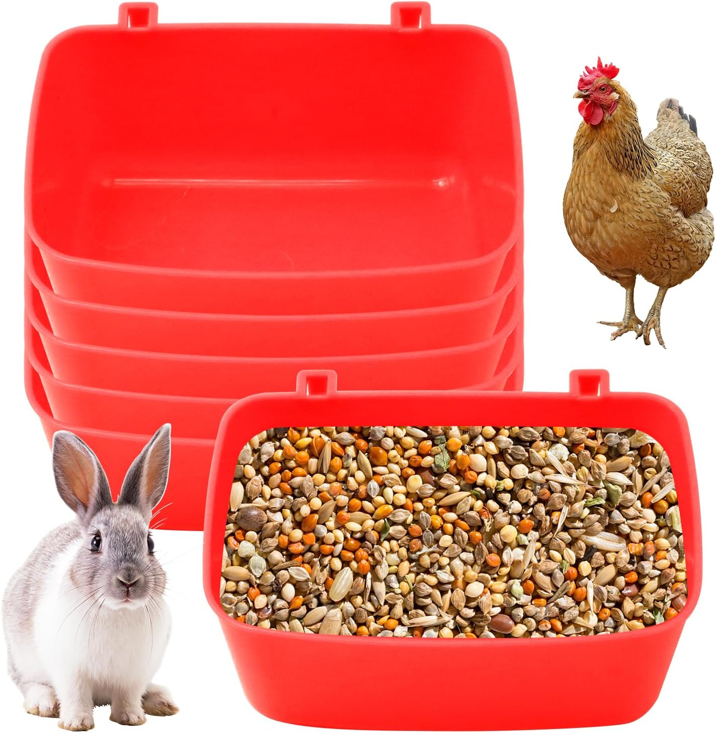 Amazon.com : ZUDKSUY 6 Pcs Pack Feeder Drinker Food Container 5.62 * 3. ...