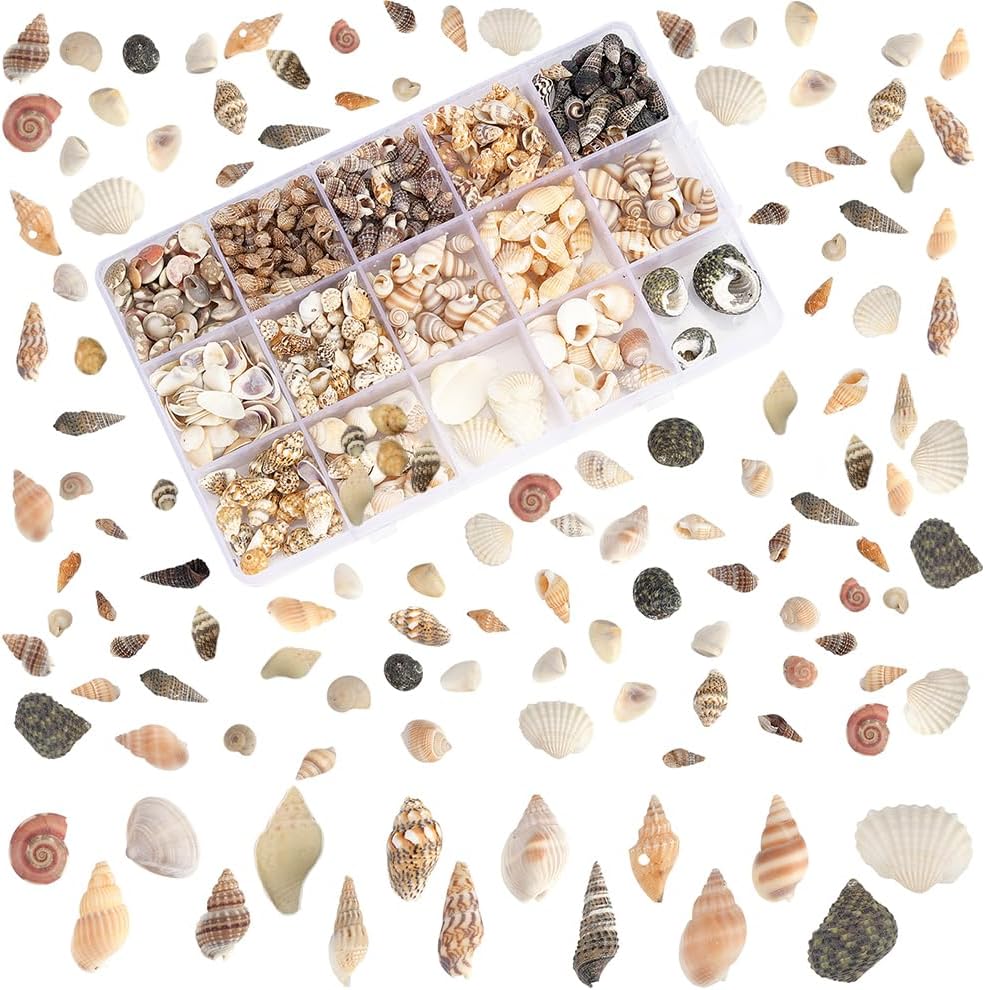 Fhioevt Muscheln Deko 10 Stile Muscheln zum Basteln Muscheln mit Loch ...