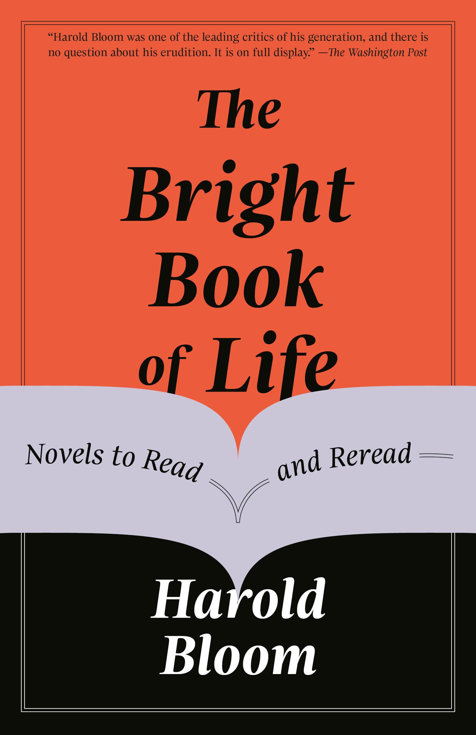 The Bright Book of Life: Novels to Read and Reread: Amazon.co.uk: Bloom ...