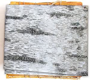 Amazon.com: Unfinished Wood Natural Birch Tree Bark 5 Sheets 20" x 24 ...
