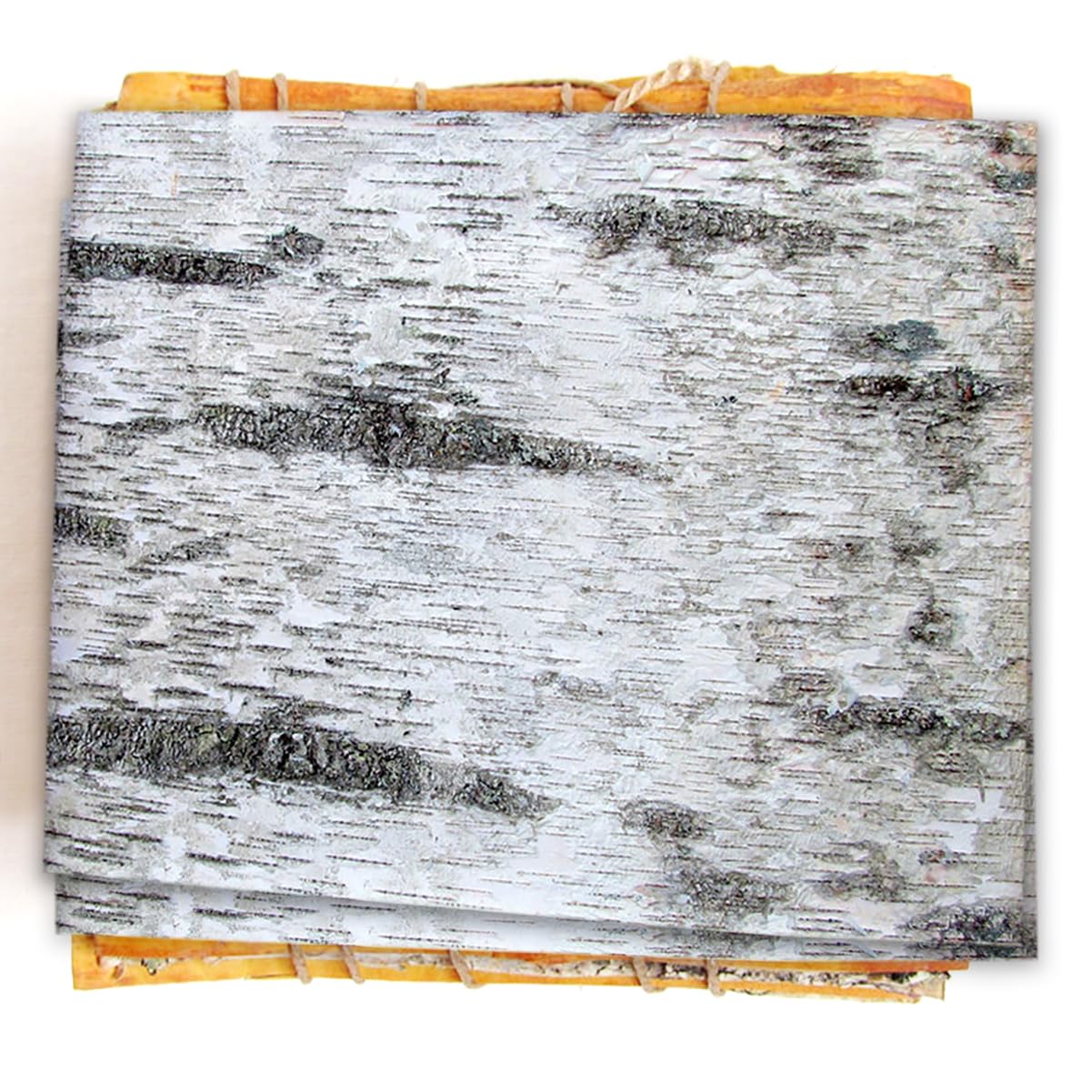 Birch Bark Paper Sheets