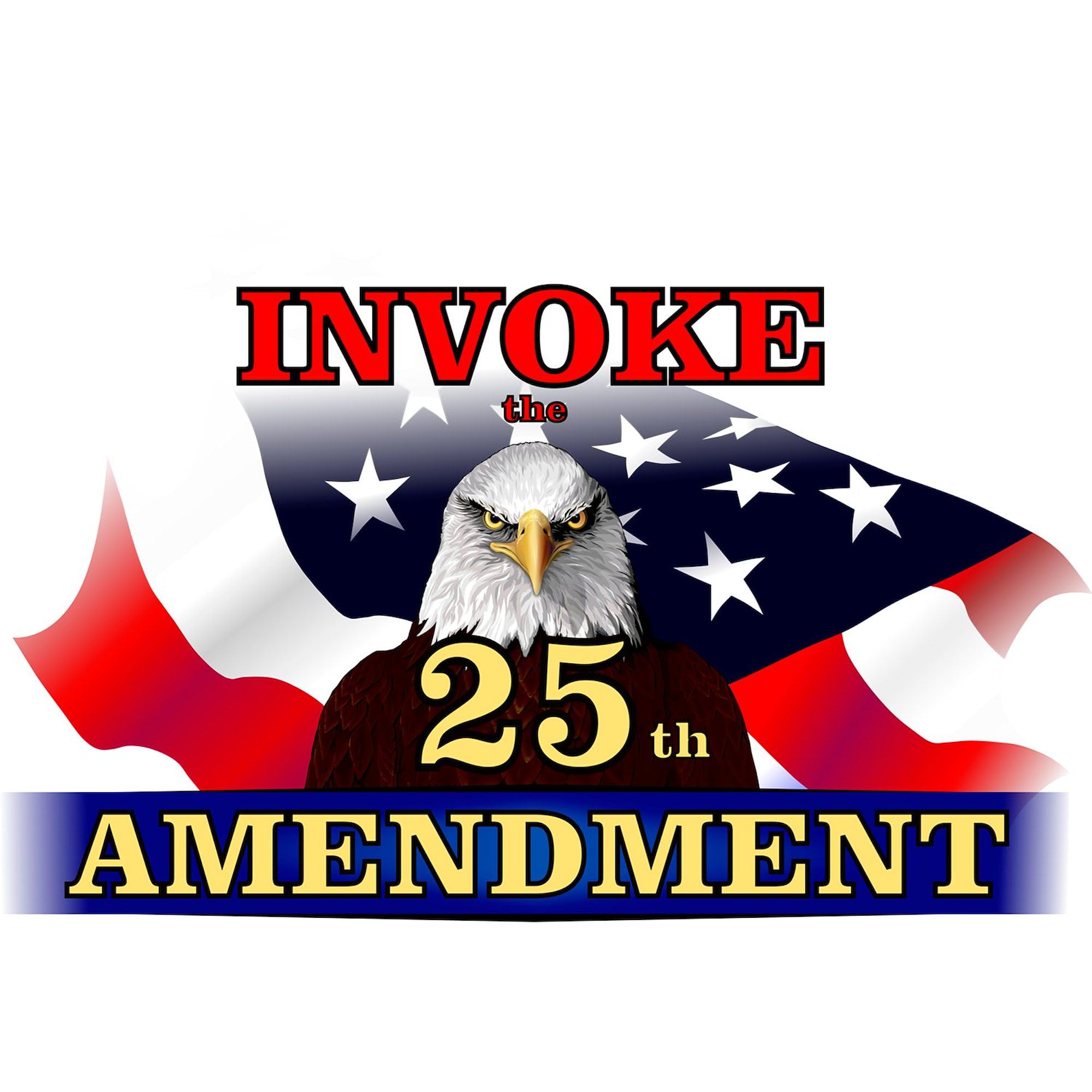 25th Amendment Picture