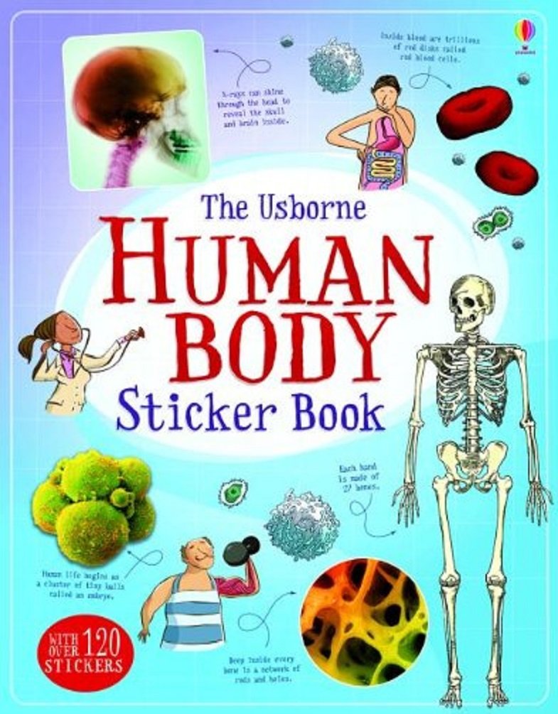 Human Body Sticker Book (Science Sticker Books): Alex Frith ...
