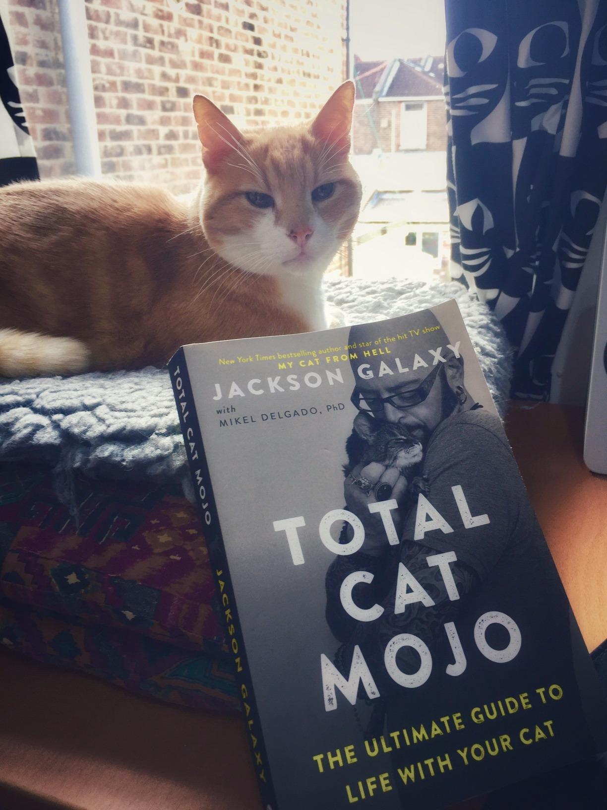 Total Cat Mojo: The Ultimate Guide to Life with Your Cat: Amazon.co.uk ...