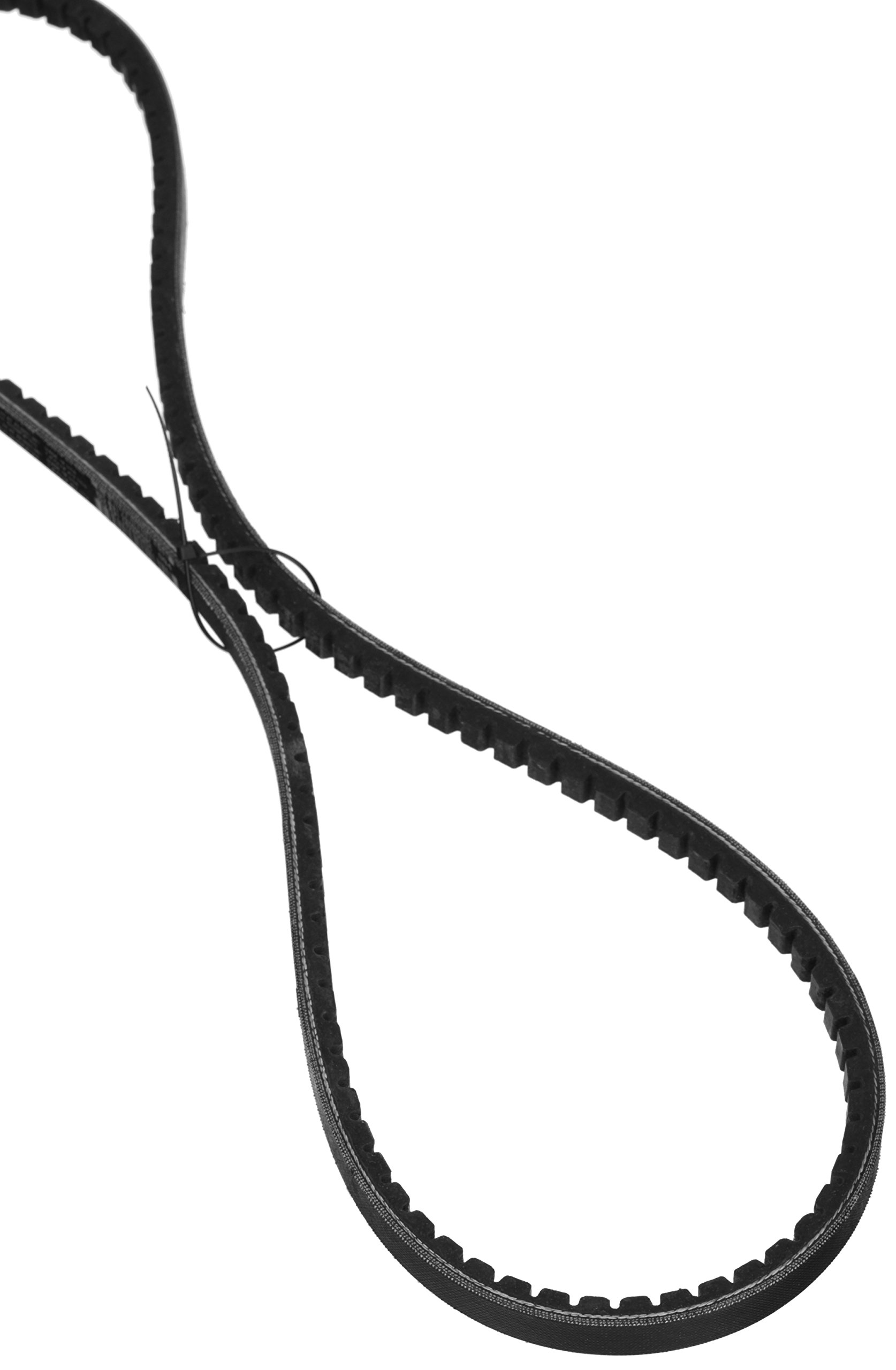 Amazon.com: Dayco AX46 Gold Label Cog Belt : Automotive