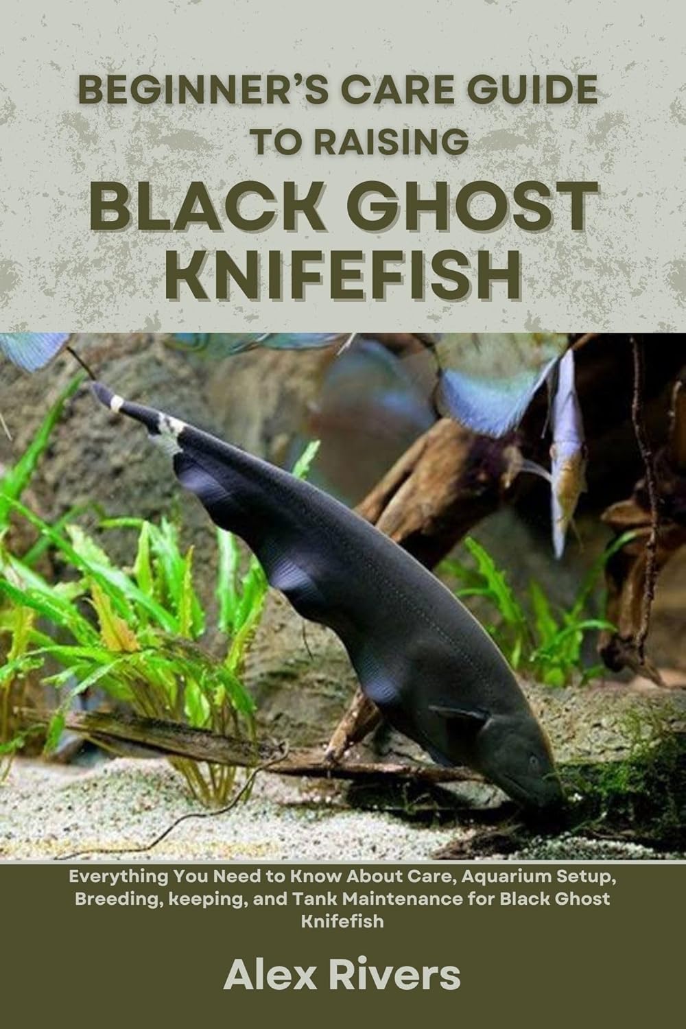 Amazon.com: BEGINNER’S CARE GUIDE TO RAISING BLACK GHOST KNIFEFISH: Everything You Need to Know ...