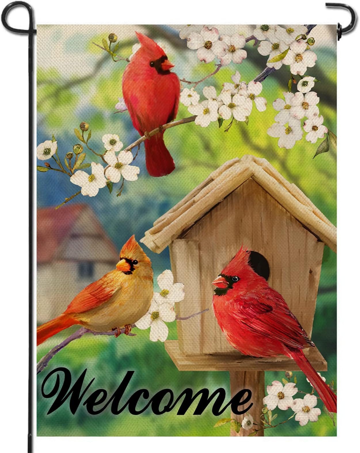 Amazon.com : Heyfibro Spring Cardinal Garden Flag Spring Summer ...