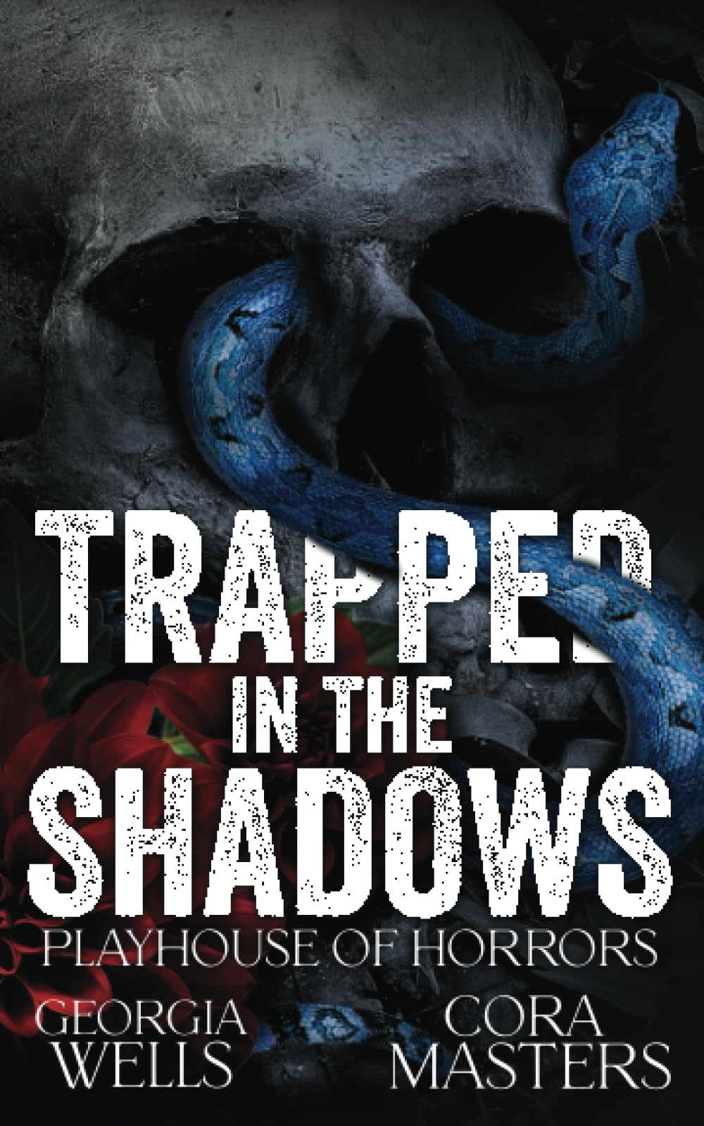 Amazon.com: Trapped in the Shadows (Playhouse of Horrors ...