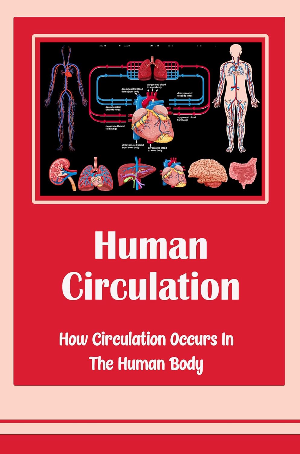 Amazon | Human Circulation: How Circulation Occurs In The Human Body ...