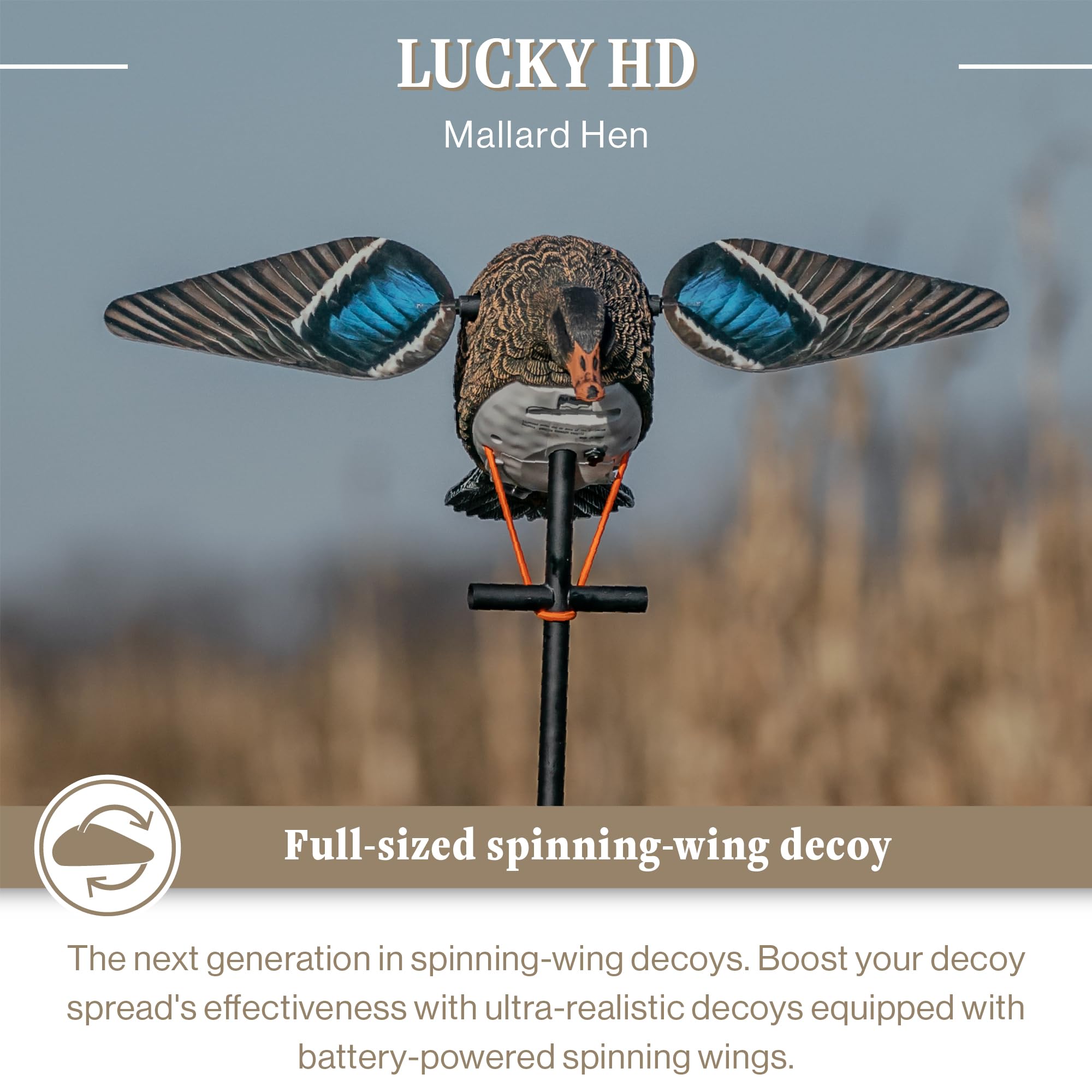 Snapklik.com : Lucky Duck Spinning Wing Motion Duck Decoys For Hunters