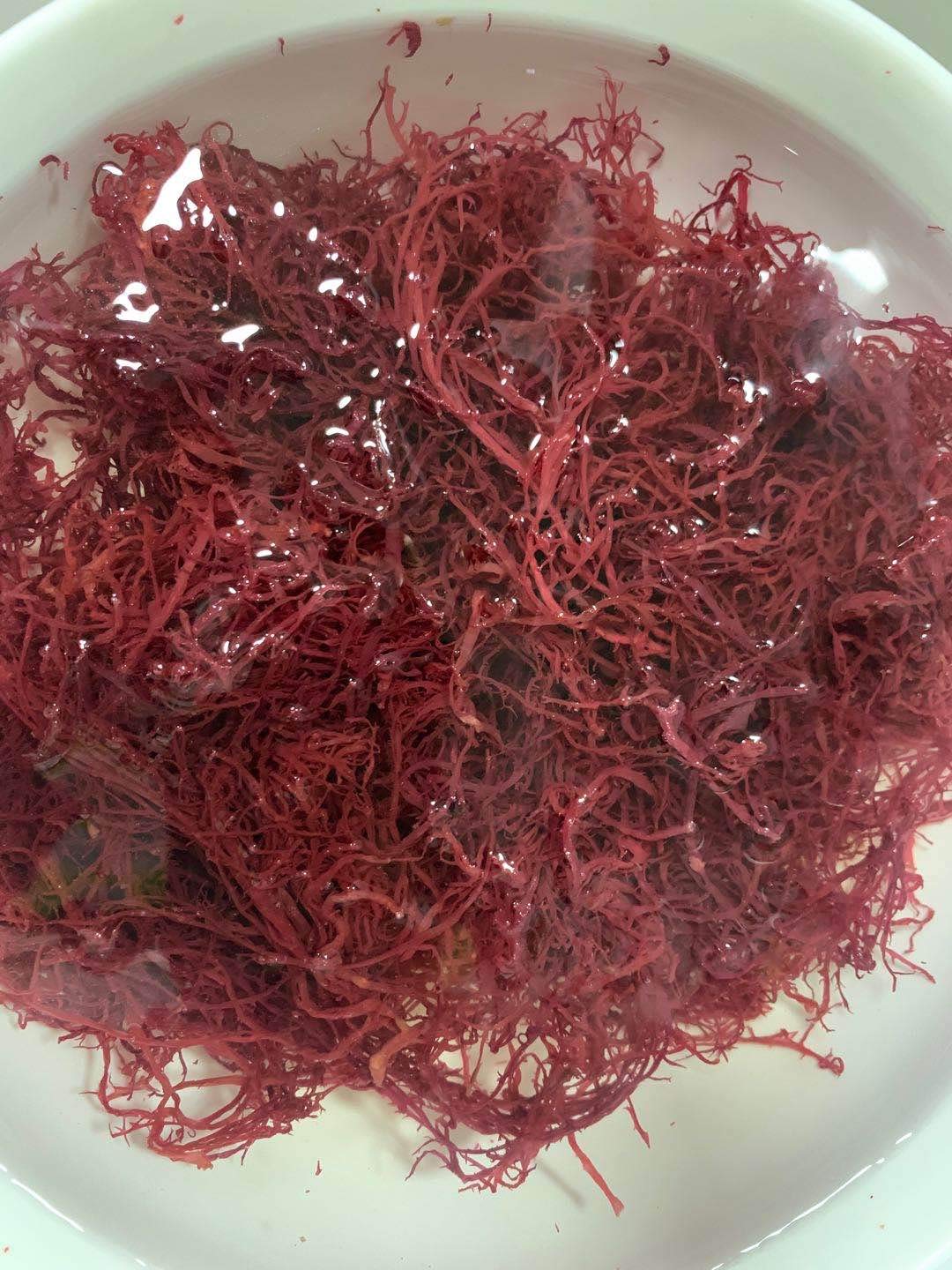 Amazon.com: Dried red algae (1bag/200g) : Grocery & Gourmet Food