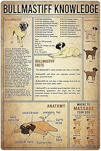 Amazon.com: ESETASOT Bullmastiff Knowledge Metal Tin Signs Bullmastiff ...