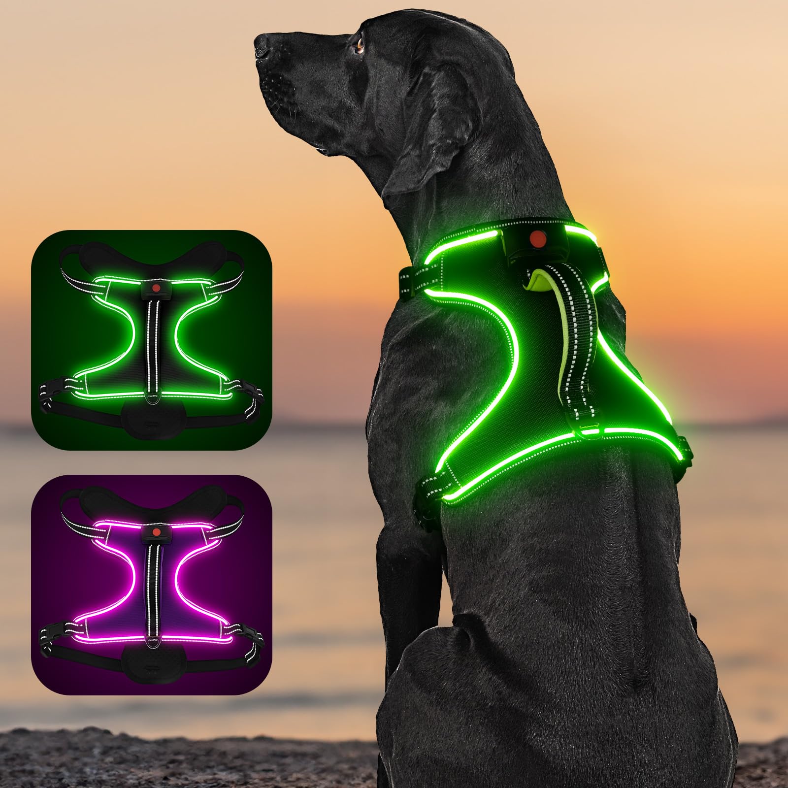 Light Up Dog Harness No Pull LED Dog Harness with Handle Rechargeable ...