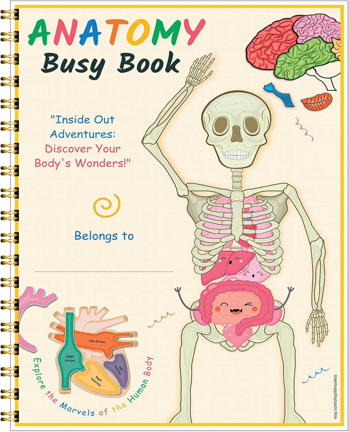 Amazon.com: Human Body Anatomy Busy Book for Kids,nteractive Anatomy ...