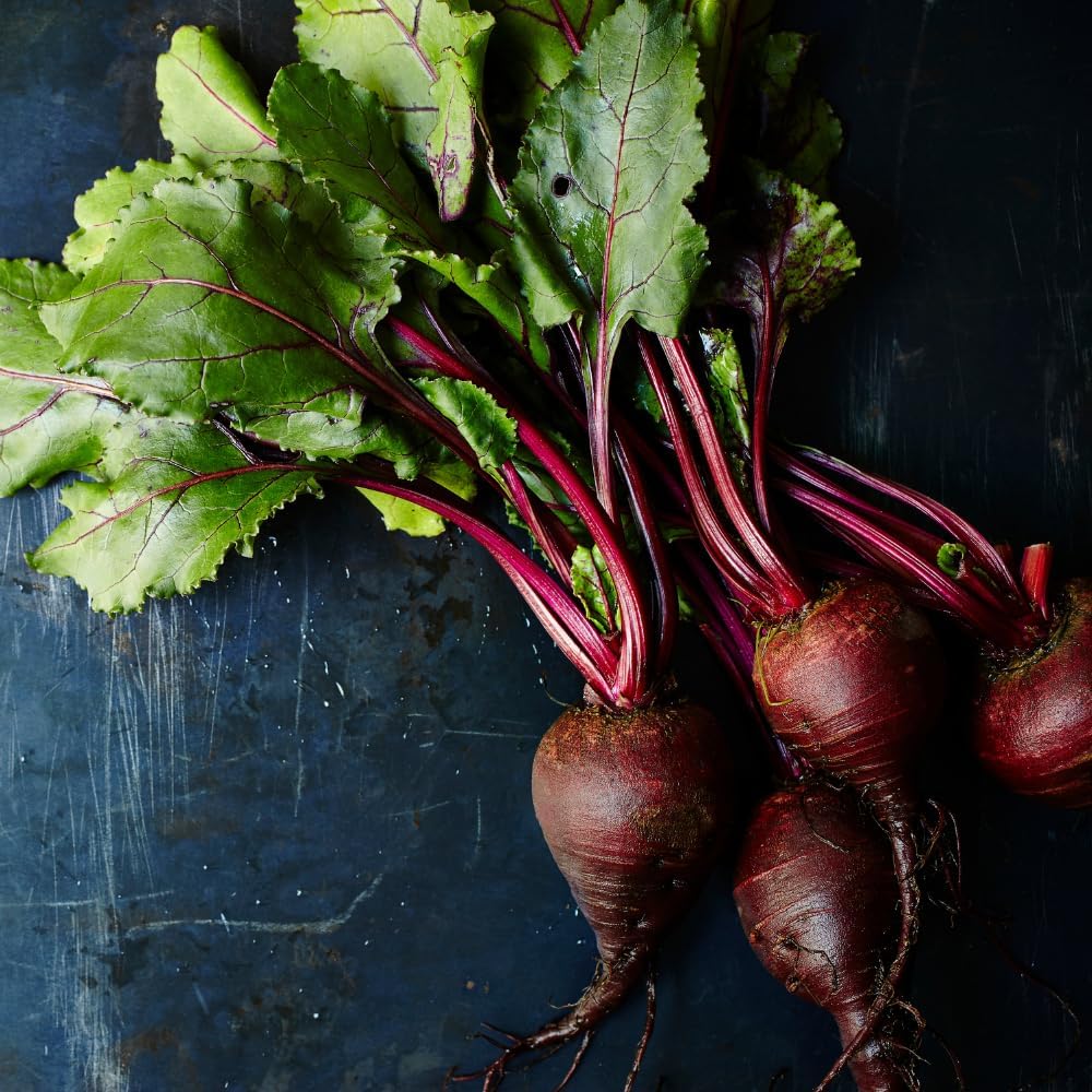 Amazon.com : Beet Seeds, 150+ Bull's Blood, Heirloom, Non GMO Seeds ...