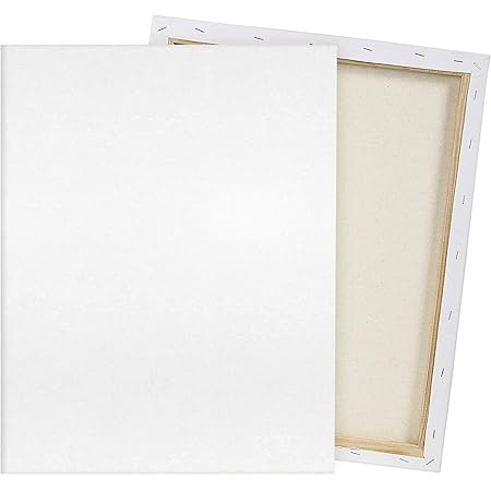Amazon.com: Pre Stretched Canvases for Painting 24x36" 2 Pack Large ...