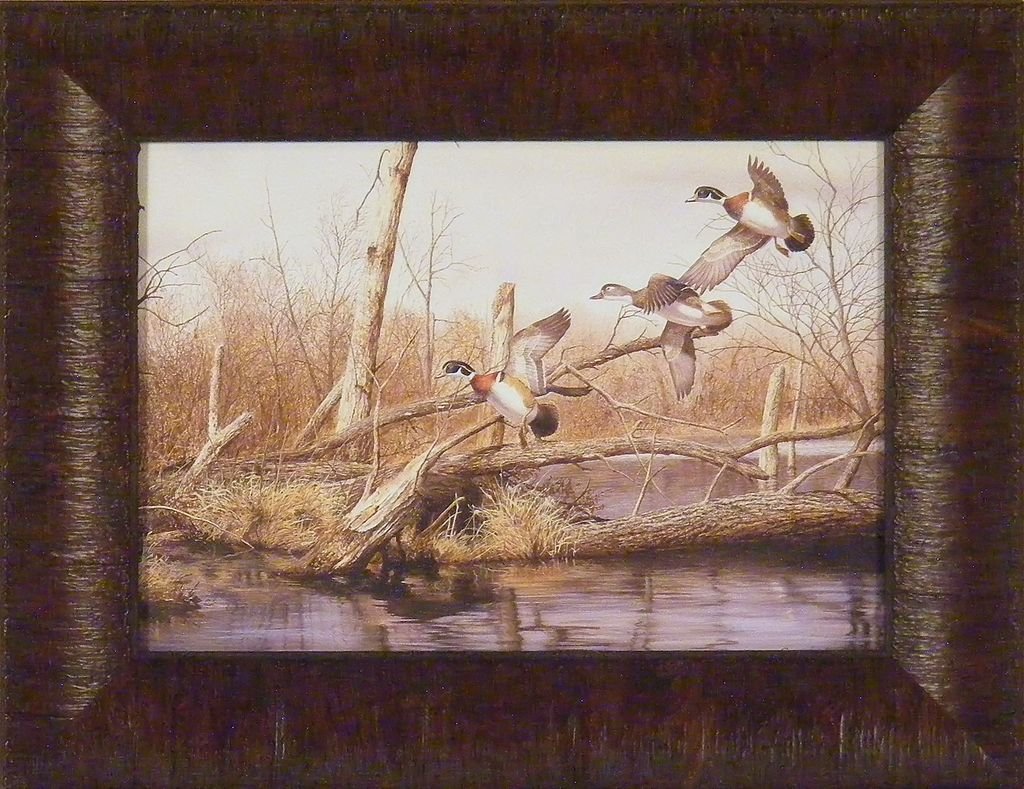 Wood Duck Hunting Swamp