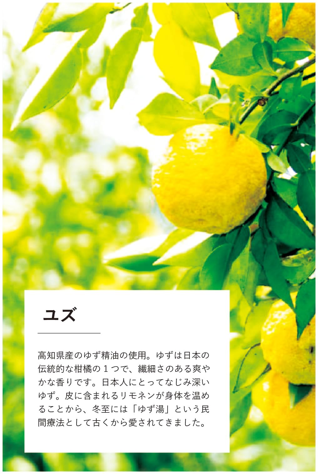 Amazon.co.jp: EDOBIO ホームフレグランス ユズ [ 100% 天然成分