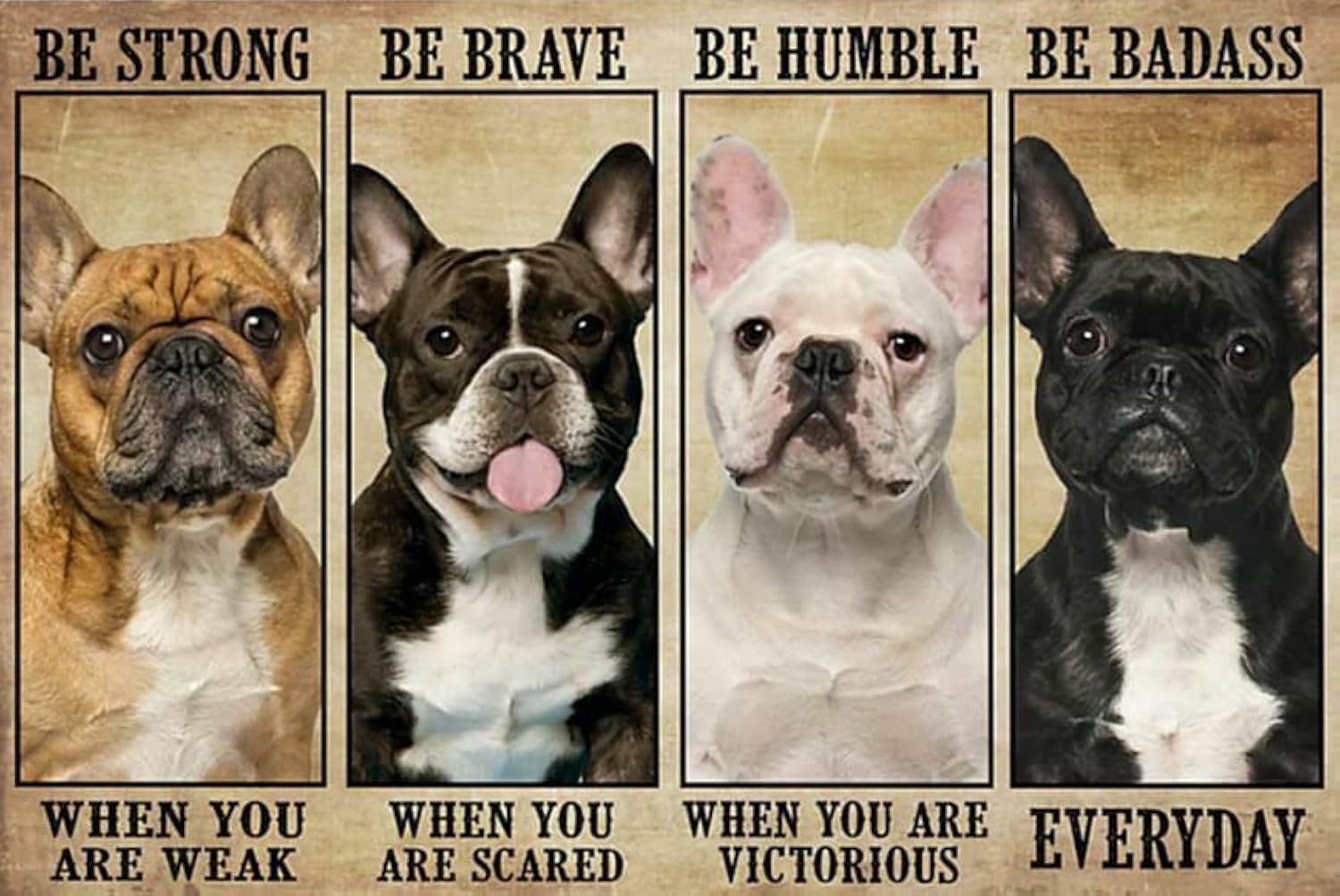 Amazon.com : JinGoo Vintage Tin Sign Metal Poster Plaque French Bulldog ...
