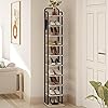 Amazon.com: INTCHE Double Row Shoe Rack, Space Saving Foldable Shoe ...