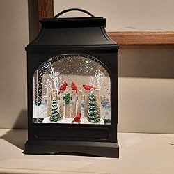 Amazon.com: RAZ Imports Red Cardinals on Fence Lighted Water Lantern ...