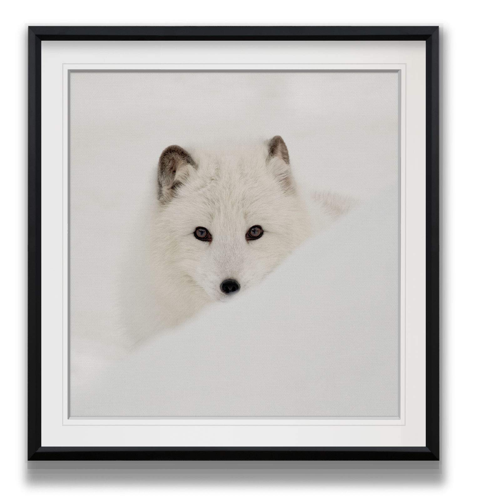Amazon.com: Arctic Fox Wall Art Framed Winter Snow Pictures Animal ...