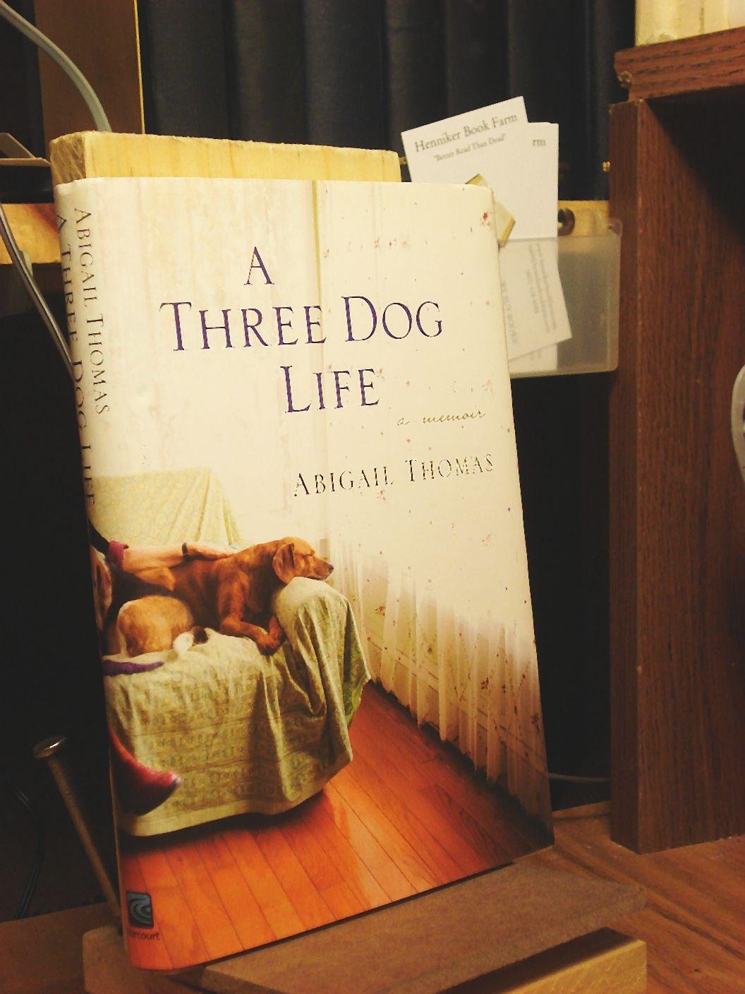 A Three Dog Life: A Memoir: Thomas, Abigail: 9780151012114: Amazon.com ...