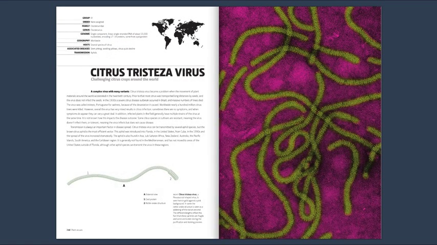 Watch Virus& An Illustrated Guide to 101 Incredible Microbes on Amazon Live