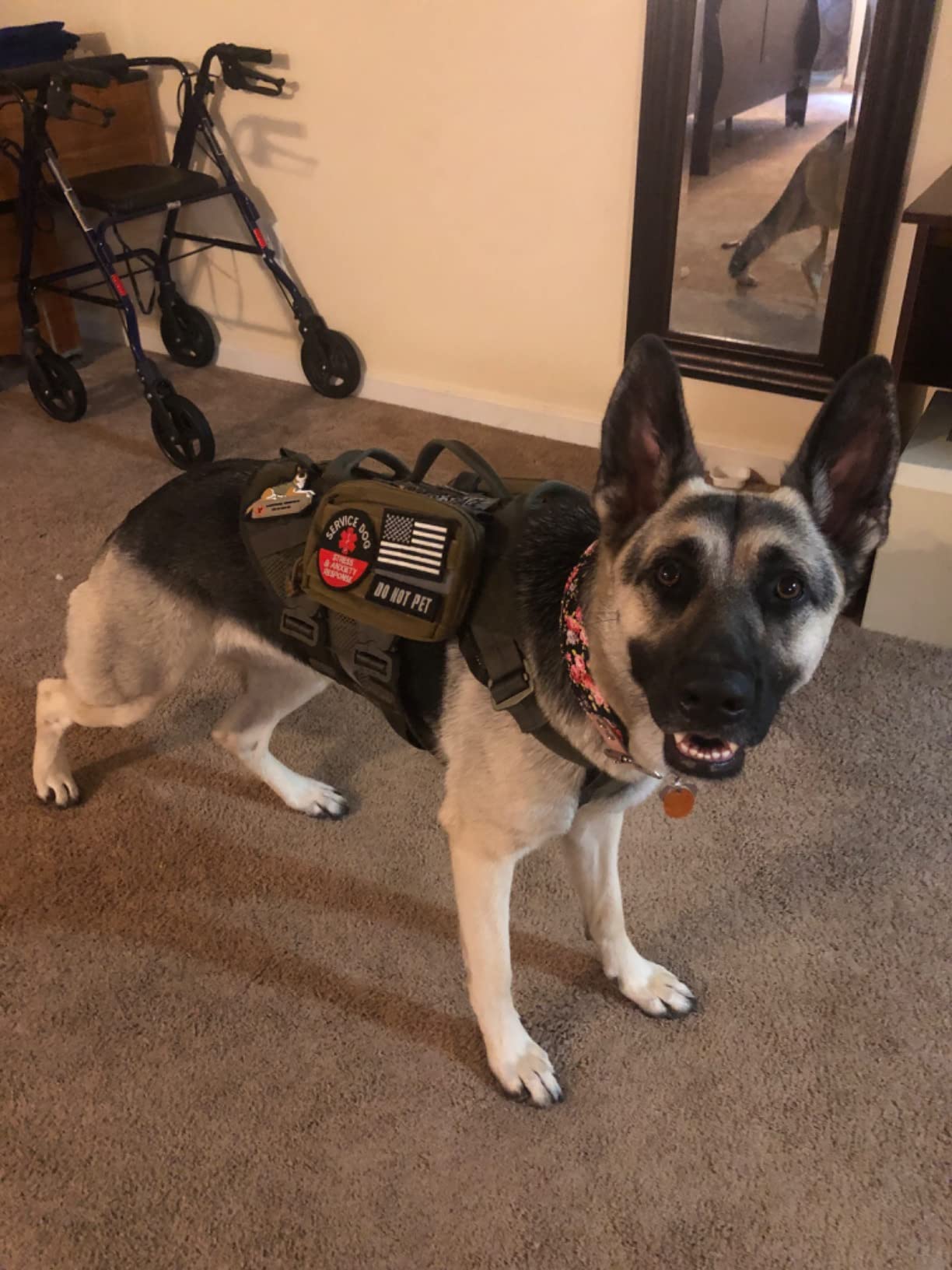 $6/mo - Finance OneTigris Service Dog Vest Harness Saddle Bag Backpack ...