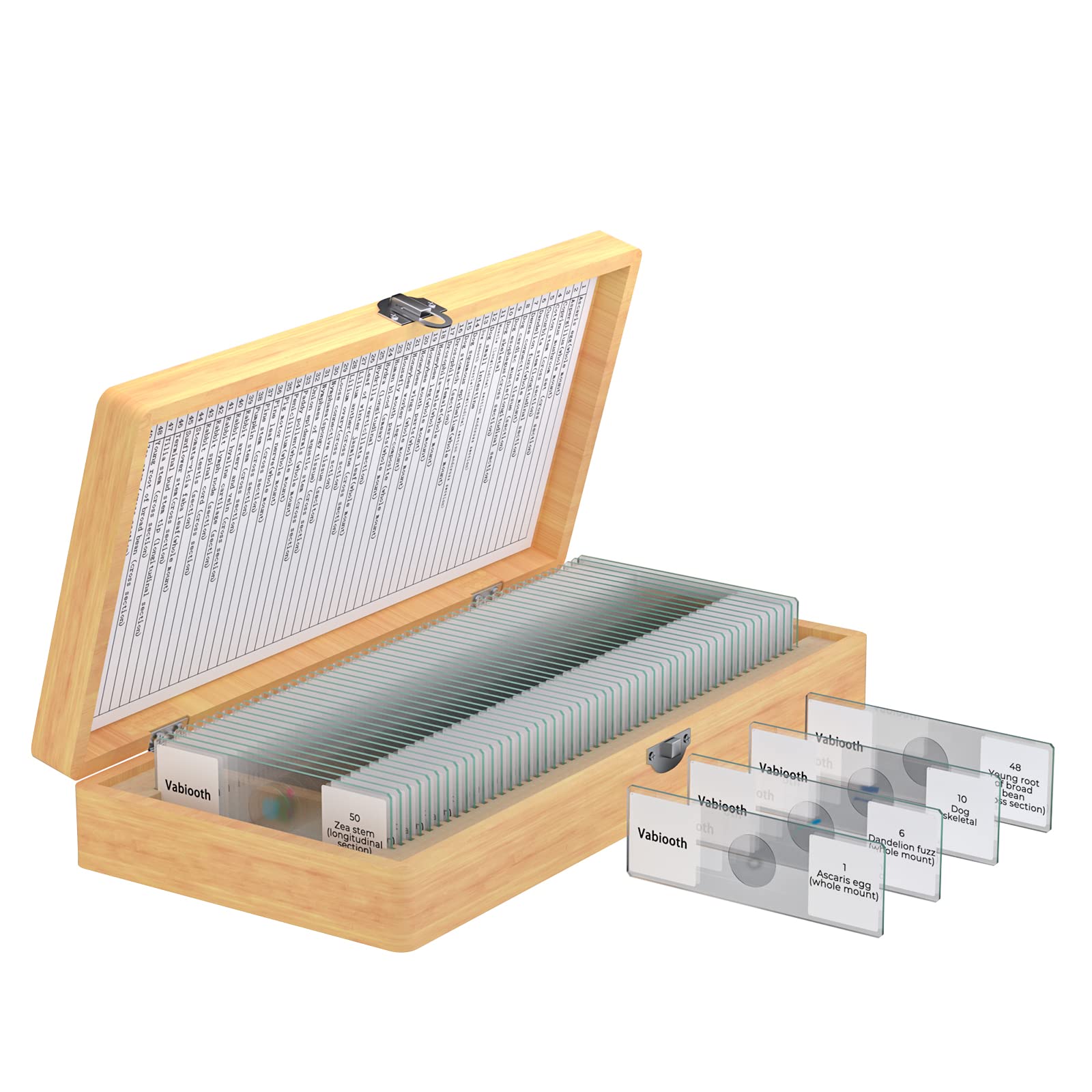 50 Pcs Prepared Microscope Slide Set Vabiooth Glass Slides Specimens ...