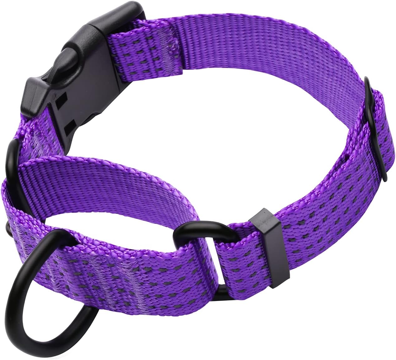 Amazon.com : LUCKYDC Martingale Collar for Training Dogs. Adjustable ...