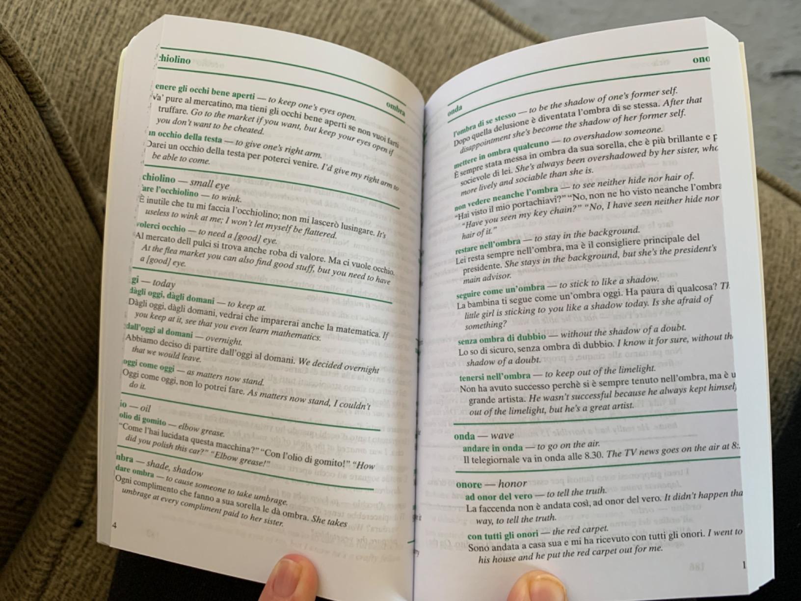 Italian Idioms (Barron's Idioms Series) (English and Italian Edition ...