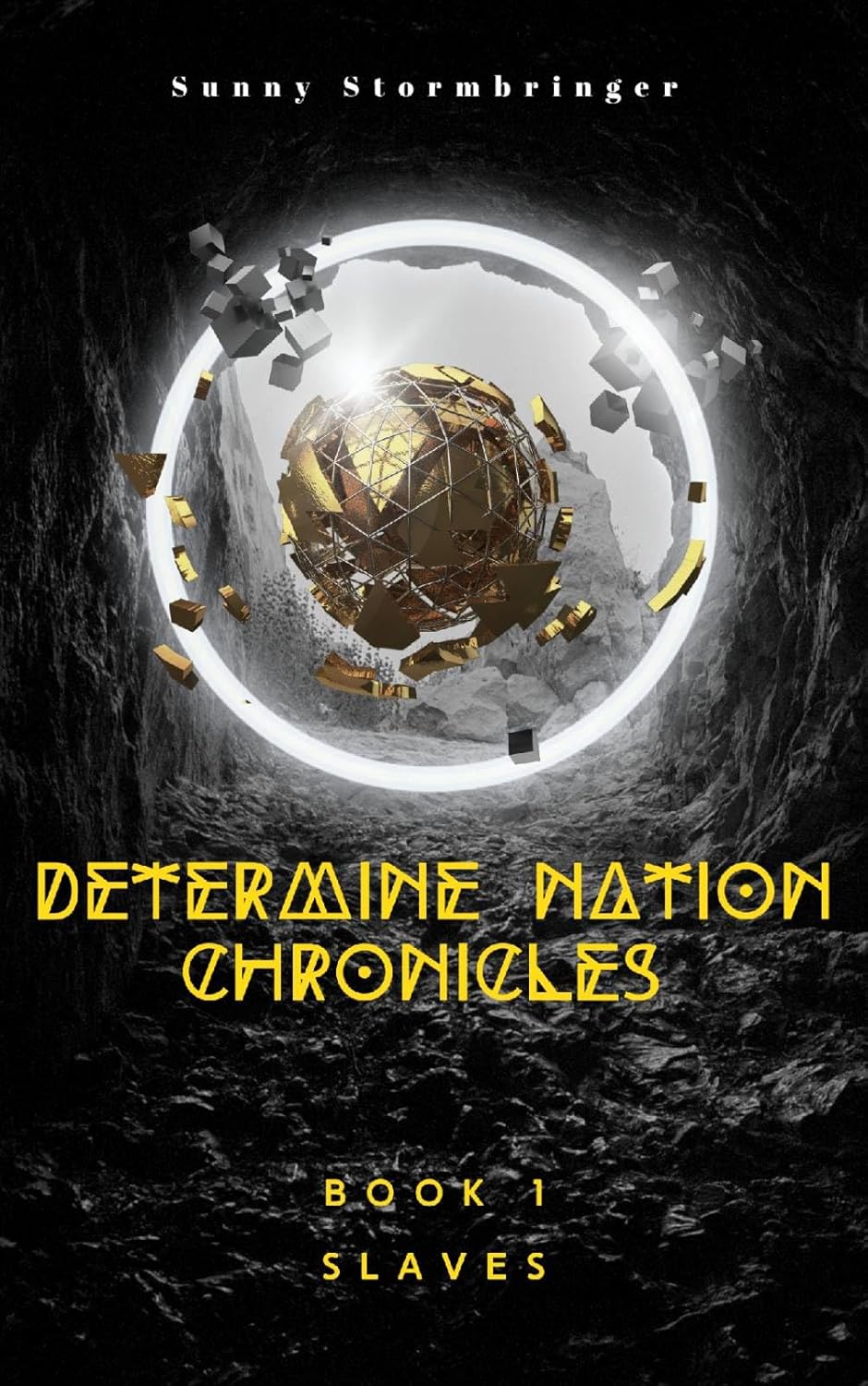 Amazon.com: Determine Nation Chronicles: Book 1: Slaves eBook : Stormbringer, Sunny: Kindle Store
